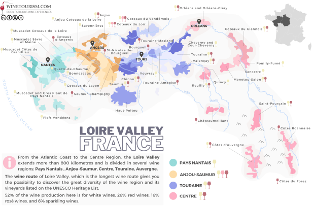 La Valle della Loira – La Fillossera